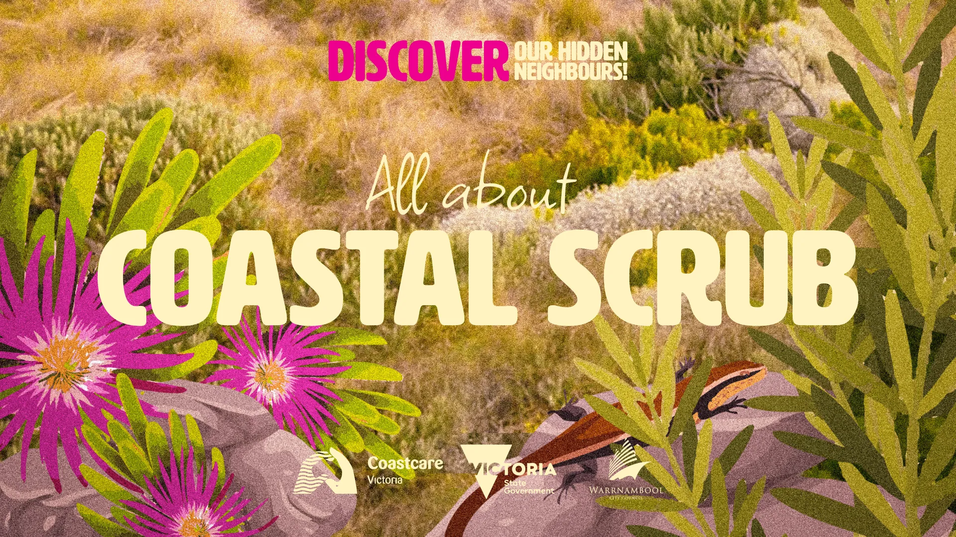 Discover Our Hidden Neighbours: All About Coastal Scrub | What's On ...